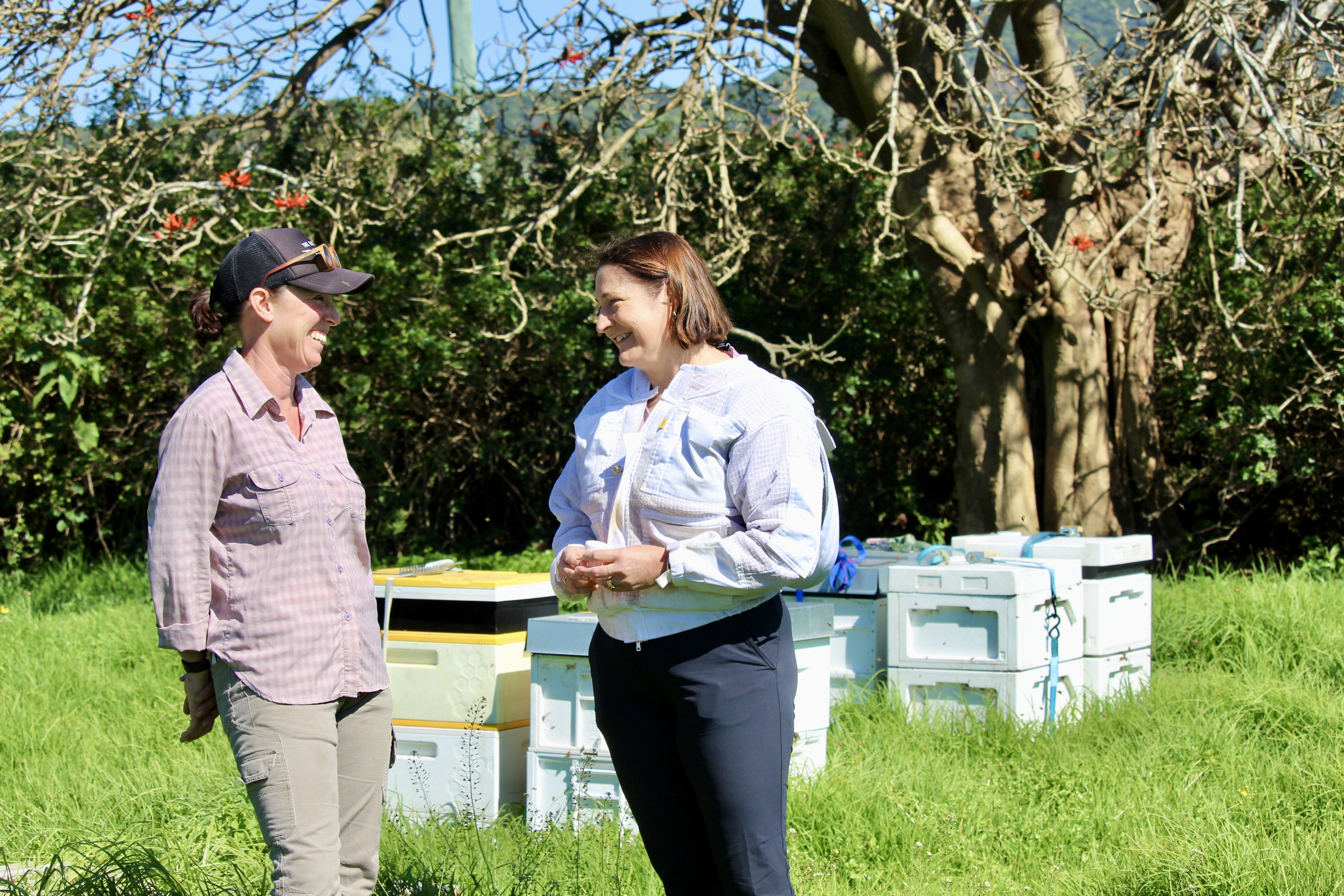 MEDIA RELEASE: Kiama’s bee queen takes on Varroa mite
