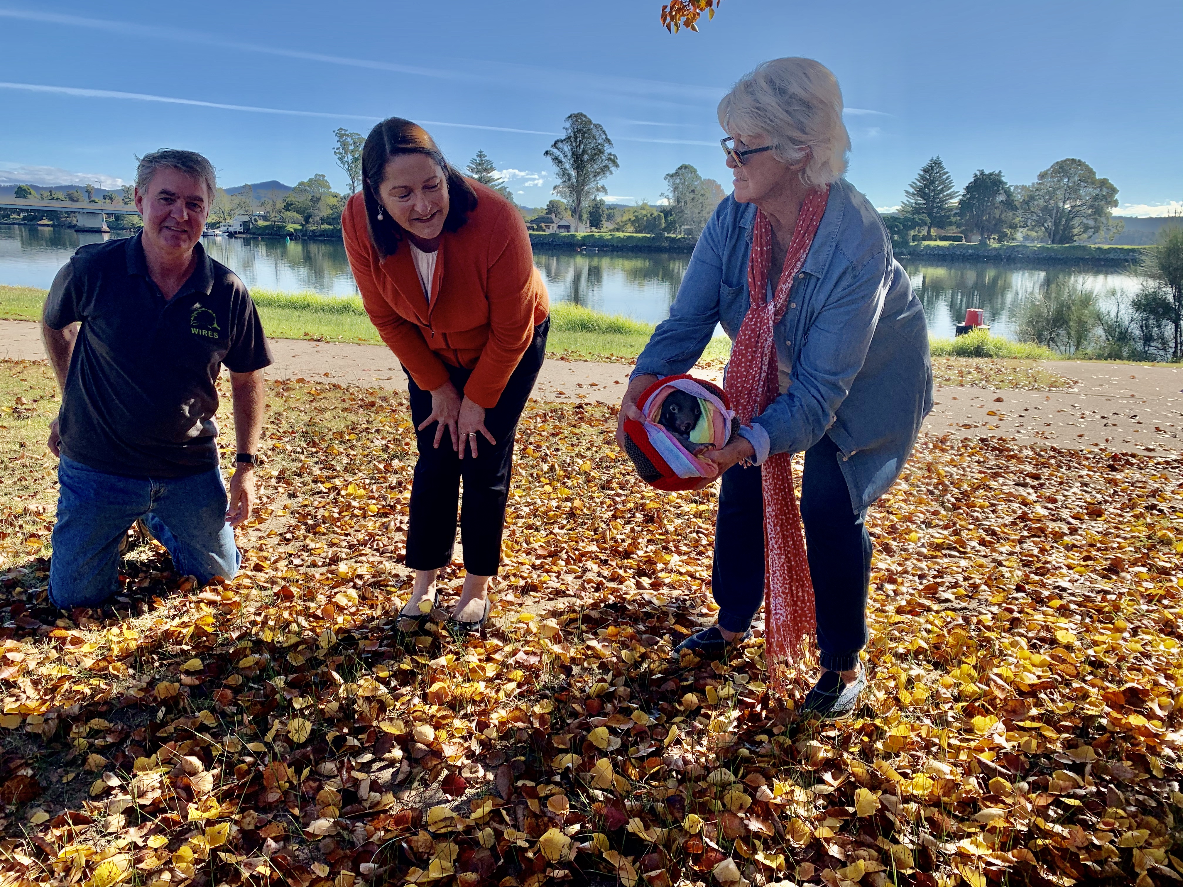 Media release: $140,000 for local environmental projects